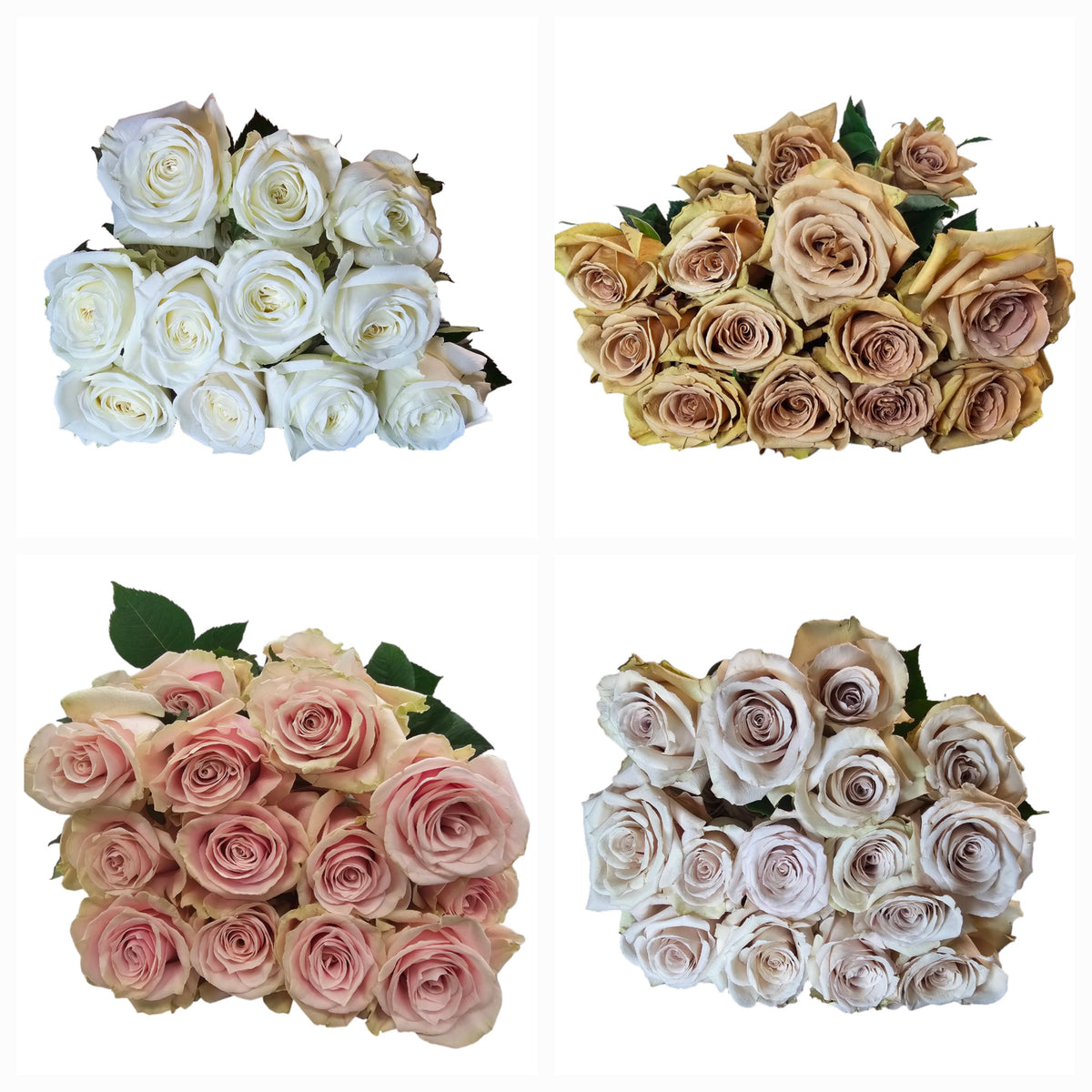 Wedding Roses Special Pack – Giving Flowers