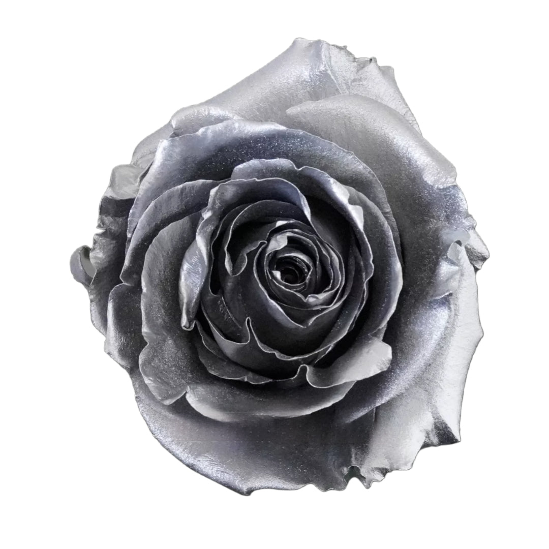 Rose Silver – Giving Flowers