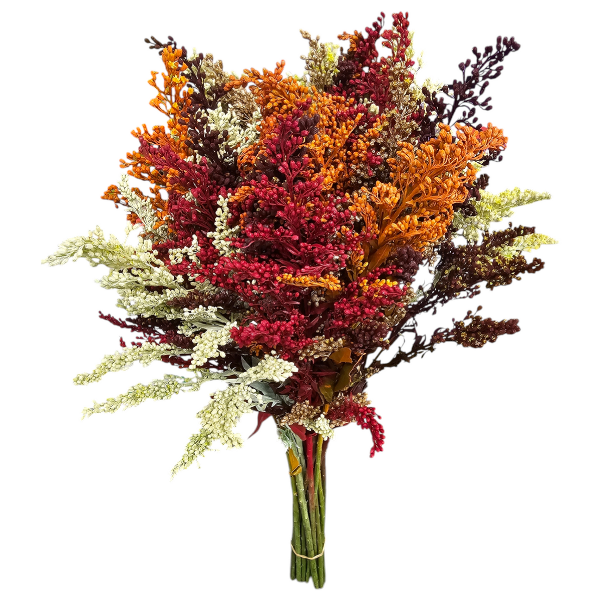 Solidago Tinted Autumn – Giving Flowers